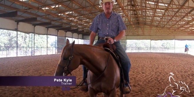 Horse Training Videos - Exercises for Horses That Suck Back in Their Spin - Pete Kyle Virtual ...