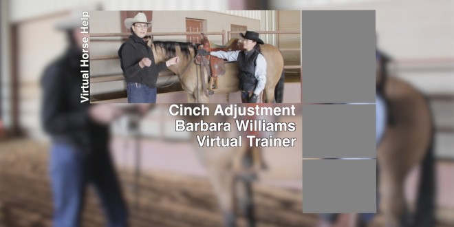 Horse Training Videos - Properly Cinching Your Saddle - Barbara ...