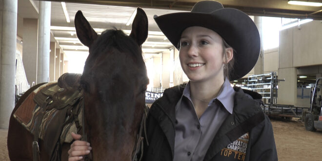 Horse Shows - 2020 NRCHA World Championships - Emily Kent Virtual Horse ...