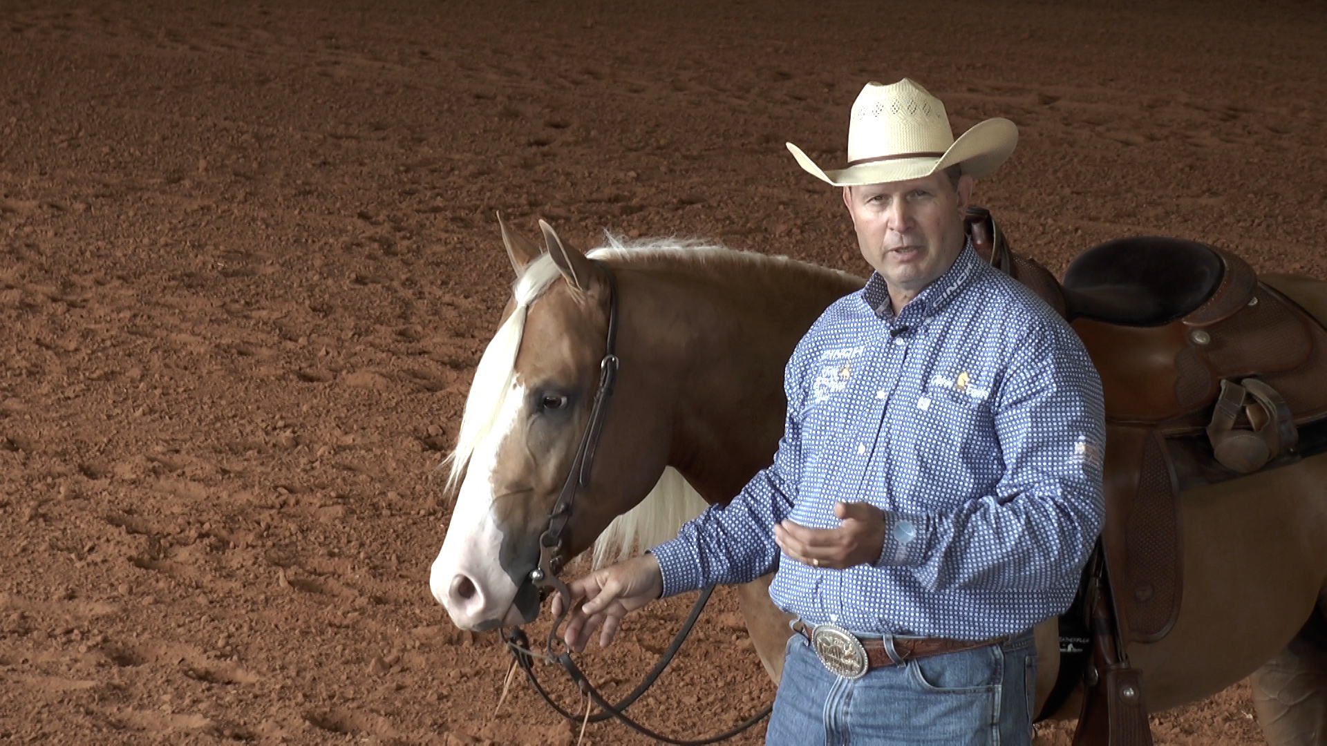 Horse Training Videos - Todd Sommers - Fitting A Bridle Correctly ...